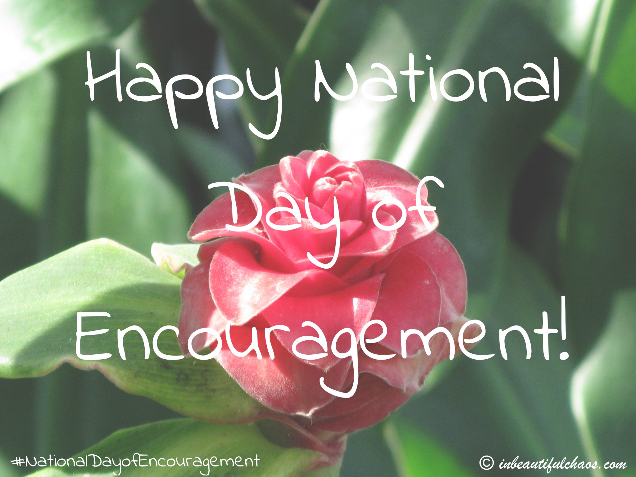 Happy National Day of Encouragement! - In Beautiful Chaos